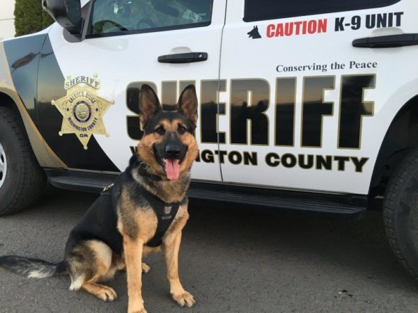 Special Team Opportunities - Patrol Division - Washington County ...