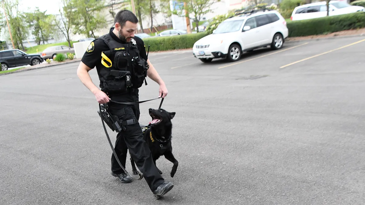 Deputy Pelletteri - Why I Became a Field Training Officer - WCSO